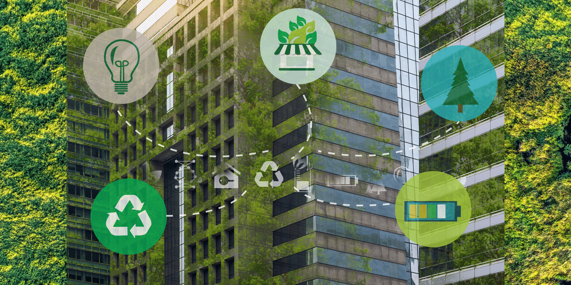 Carbon Insetting vs Offsetting: A Primer for Sustainability Leaders